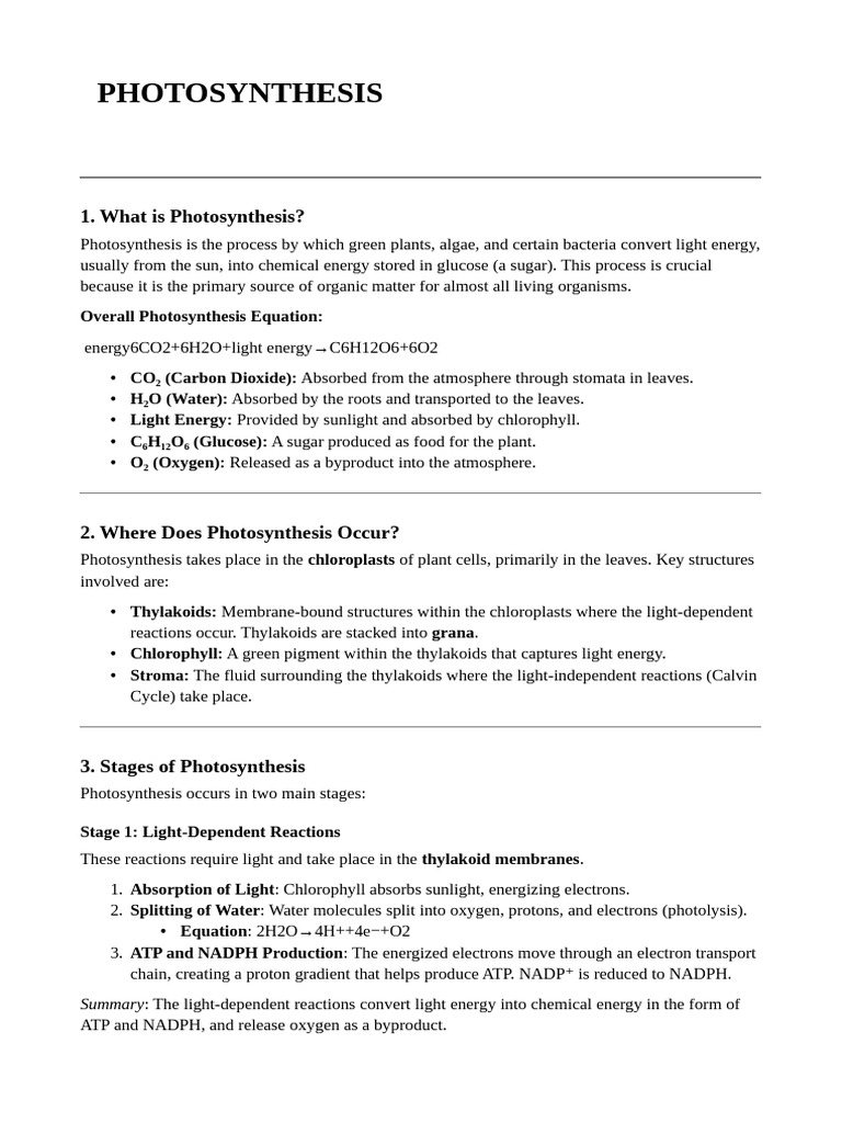 Photosynthesis Explained for Students | PDF | Photosynthesis | Chloroplast