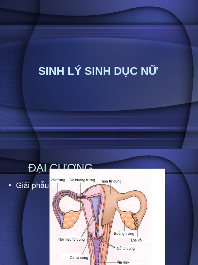 Sinh Lý Sinh D C N | PDF