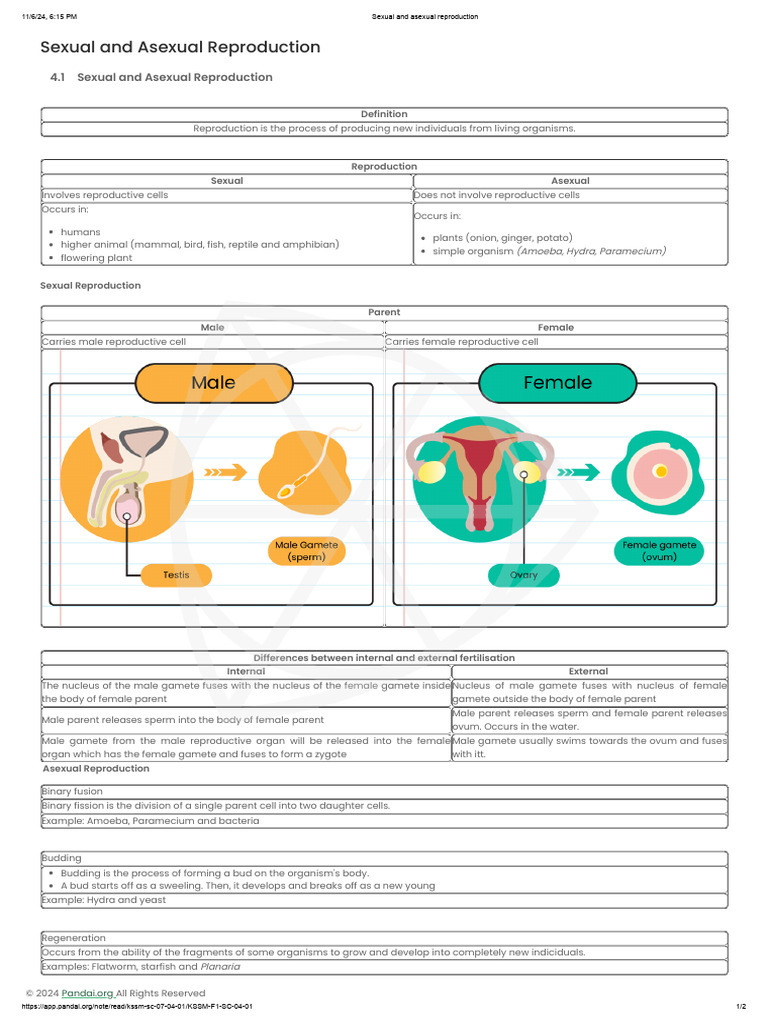 Understanding Sexual vs Asexual Reproduction | PDF | Sexual ...