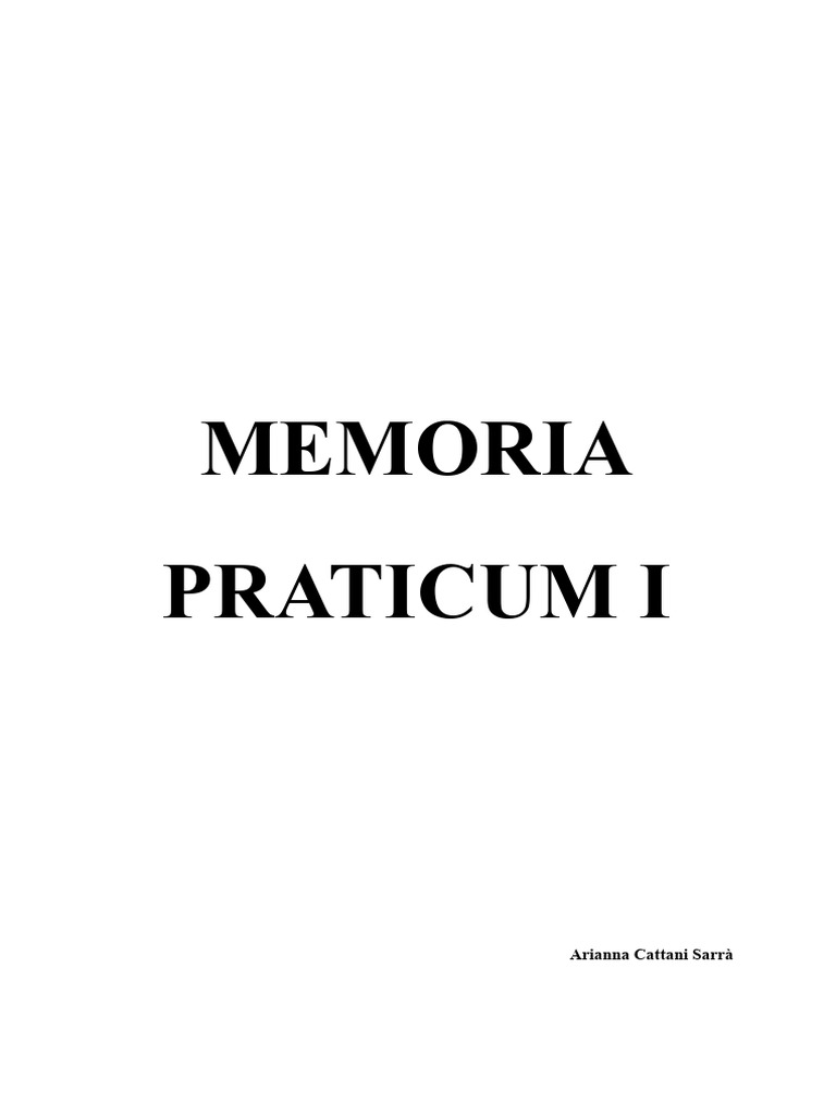 Memoria Practicum 1 | PDF