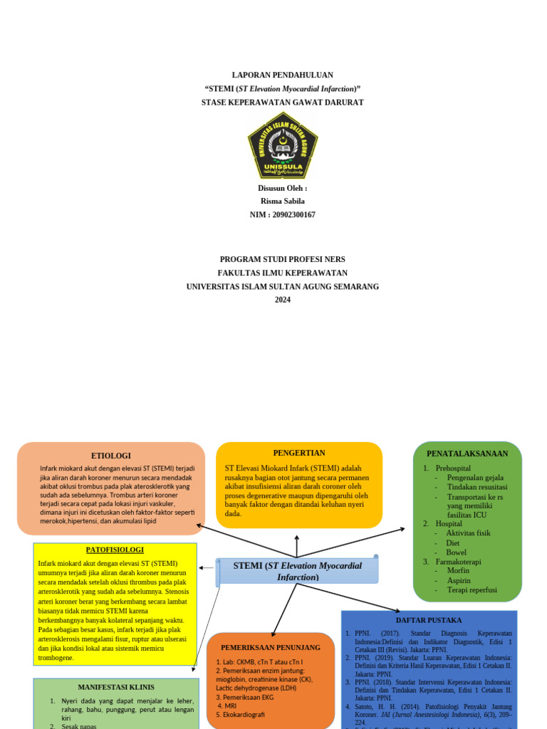 LP STEMI-sabila | PDF