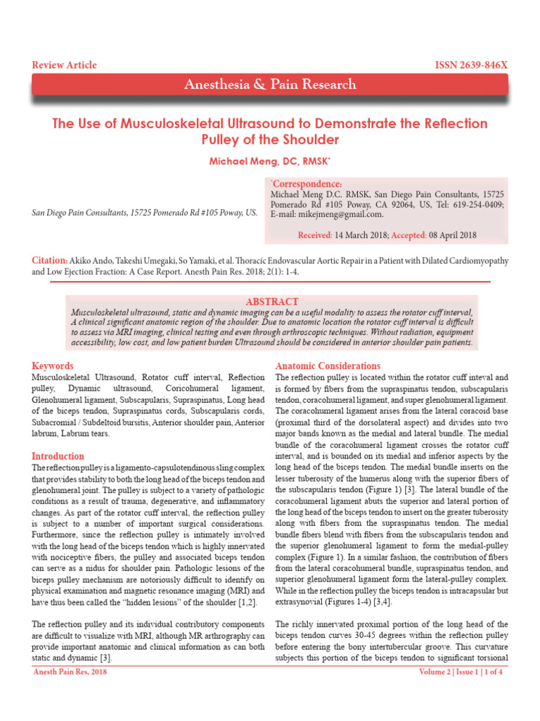 The Use of Musculoskeletal Ultrasound To Demonstrate The Reflection ...