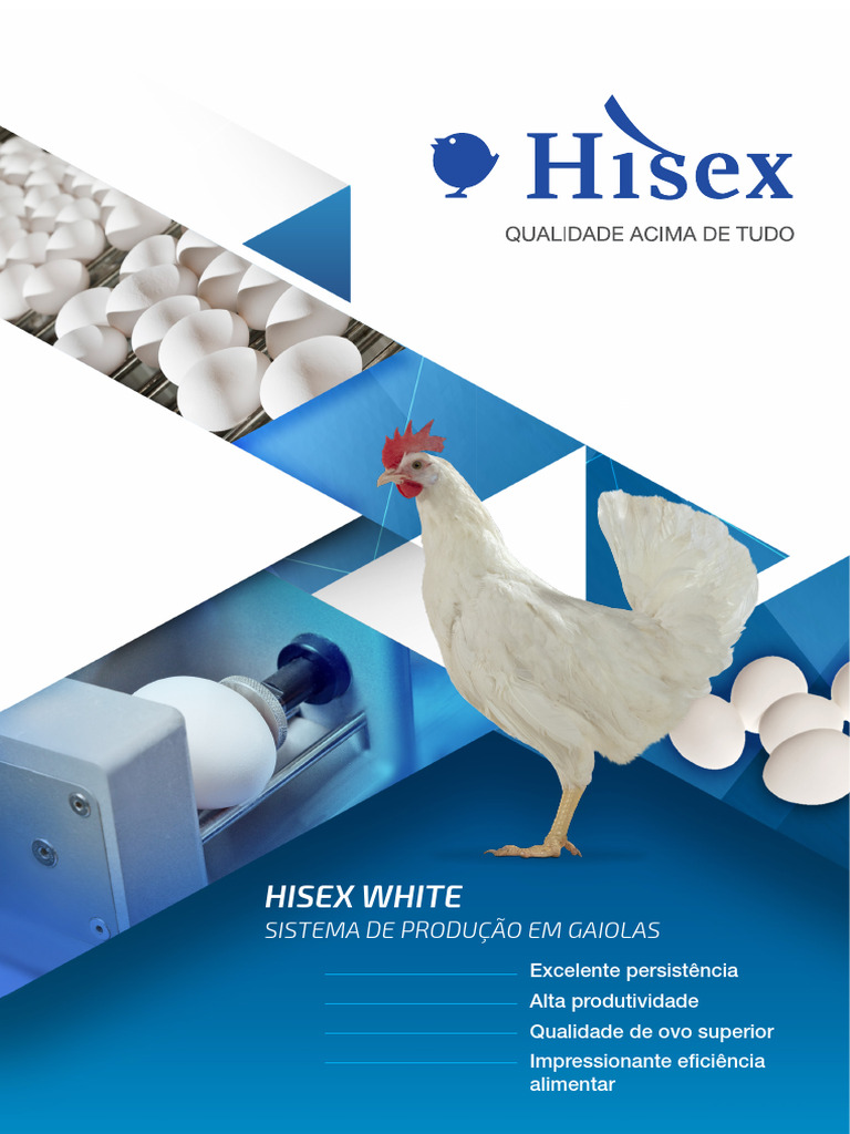 Hisex White: Poedeira de Alta Produtividade | PDF | Ovo