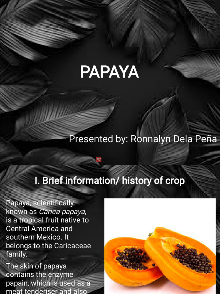 papaya | PDF | Pest (Organism) | Soil