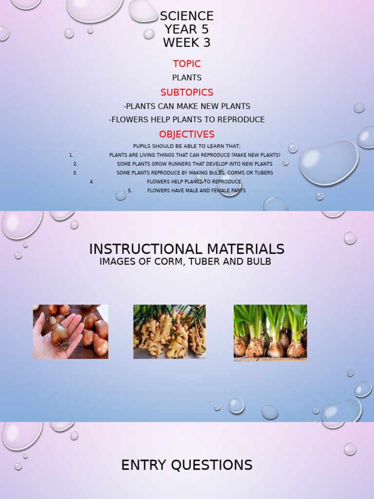 Science Lesson Notes Year 5 Week 3 | PDF | Science & Mathematics