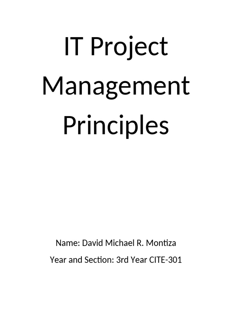 IT Project Mana-WPS Office | PDF | Computers | Technology & Engineering