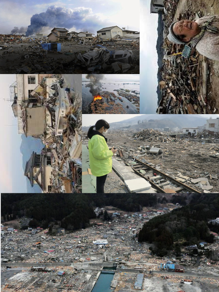 The Tohotaku Earthquake Collage | PDF