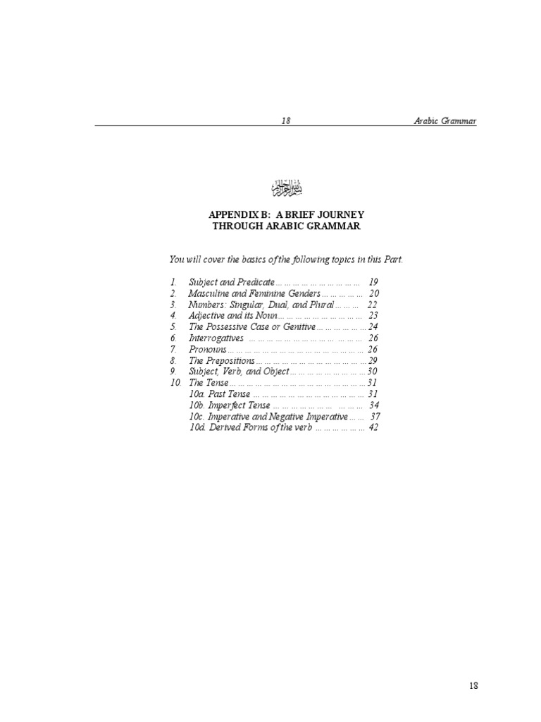 A Brief Journey Through Arabic Grammar | PDF | Grammatical Number | Plural