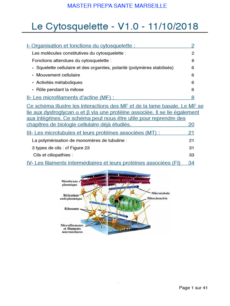 Comprendre le Cytosquelette Cellulaire | PDF | Cytosquelette ...