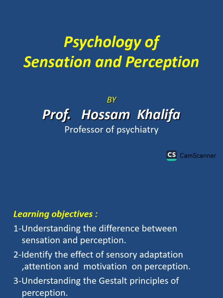 Psychology of Perception and Sensation Modified | PDF | Senses | Perception
