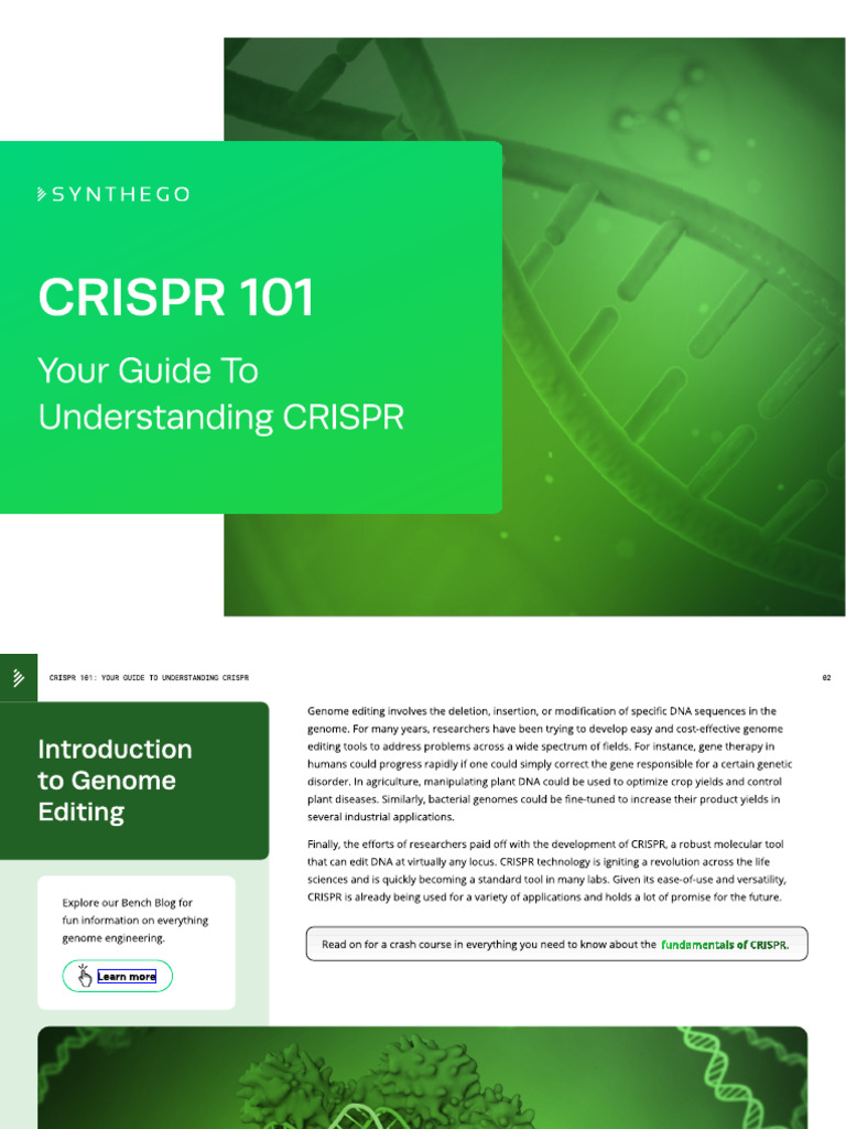 CRISPR+101 Your+Guide+to+Understanding+CRISPR 2024Q1 | PDF | Crispr | Dna Repair