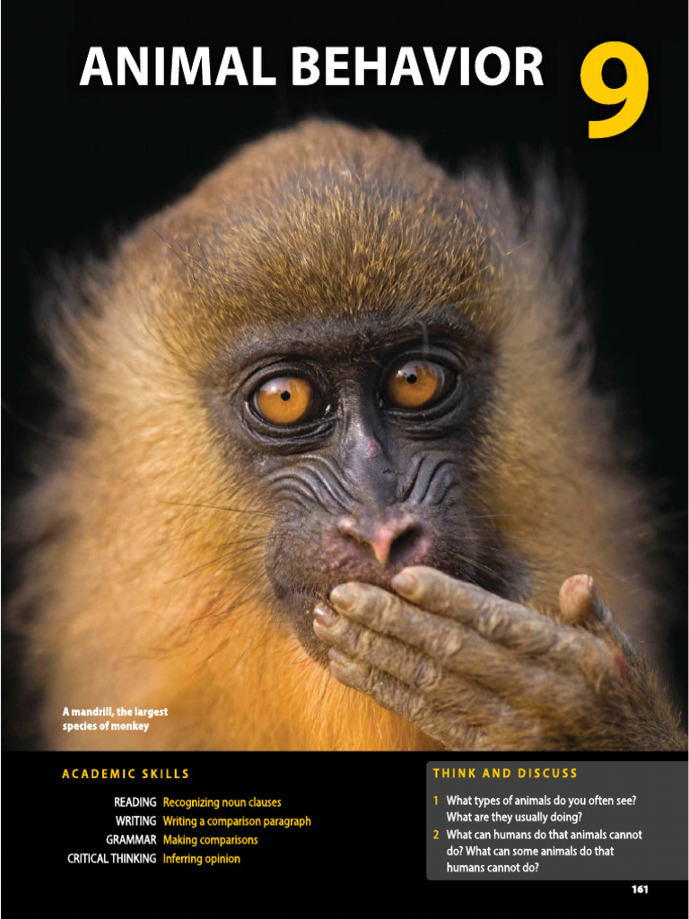 Animal Behaviour | PDF