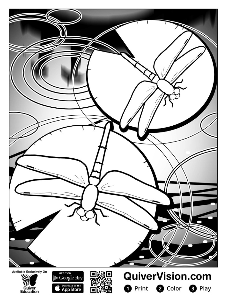 Qv2 Dragonflies | PDF