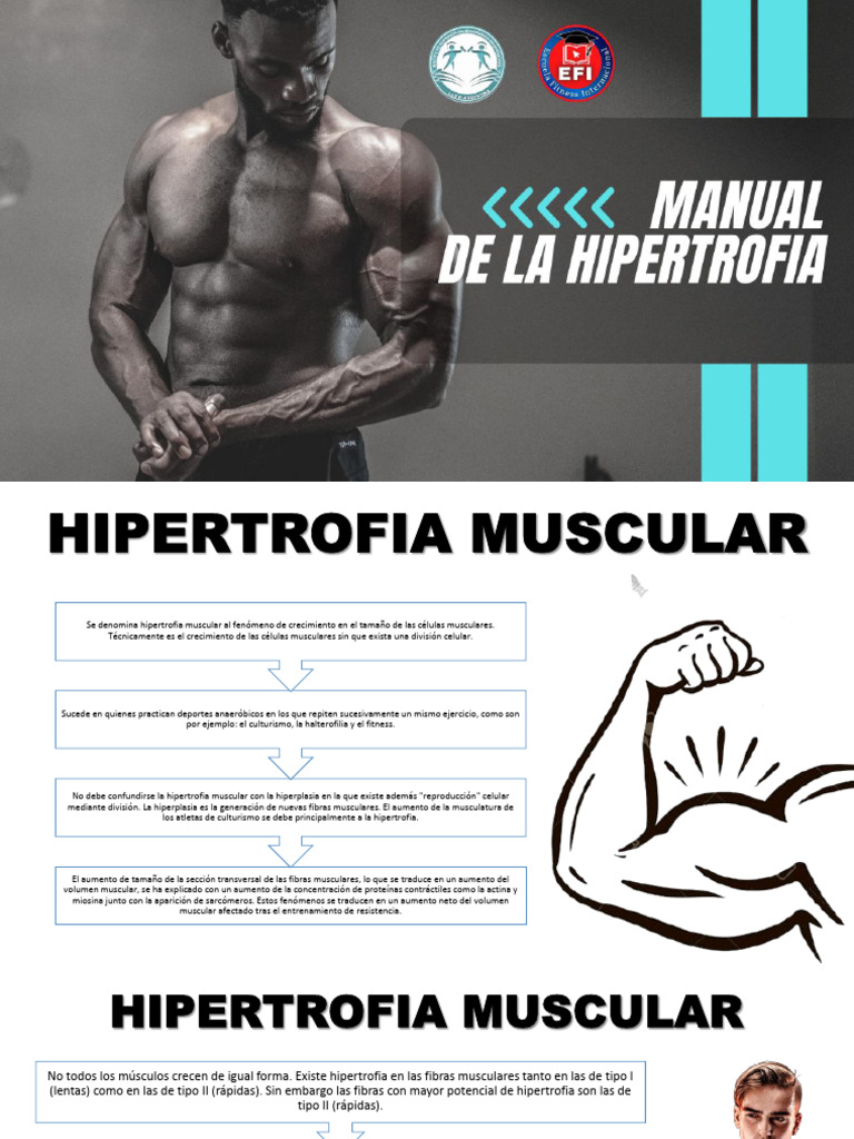 Guía Completa sobre Hipertrofia Muscular | PDF | Hipertrofia muscular ...