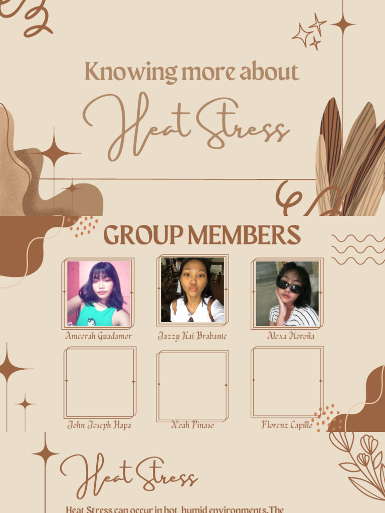 Group 3 Presentation About Heat Stress PDF | PDF | Wellness | Science & Mathematics