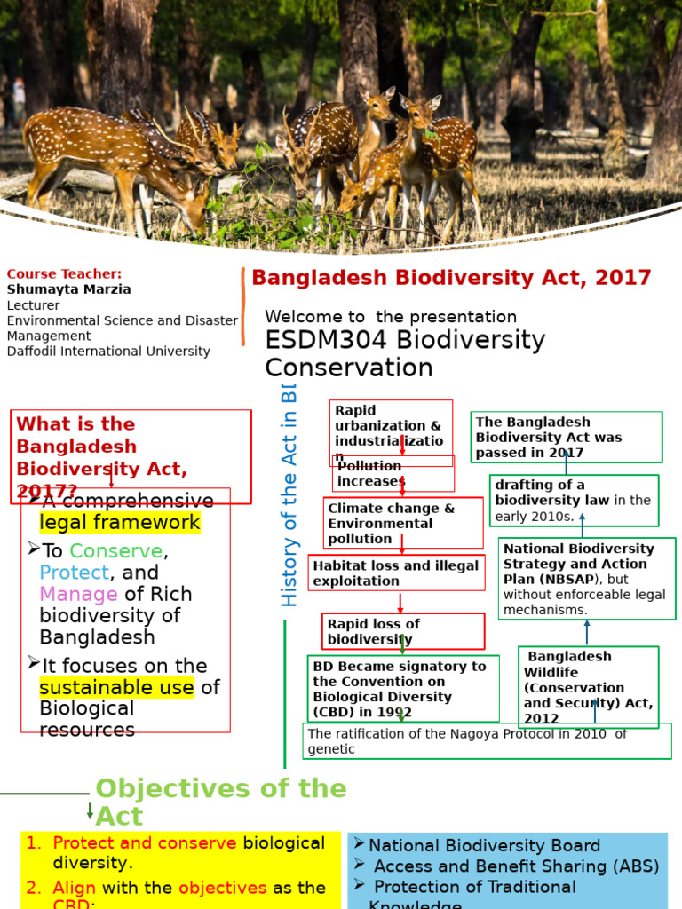 Bangladesh Biodiversity Act Overview | PDF | Biodiversity | Nature