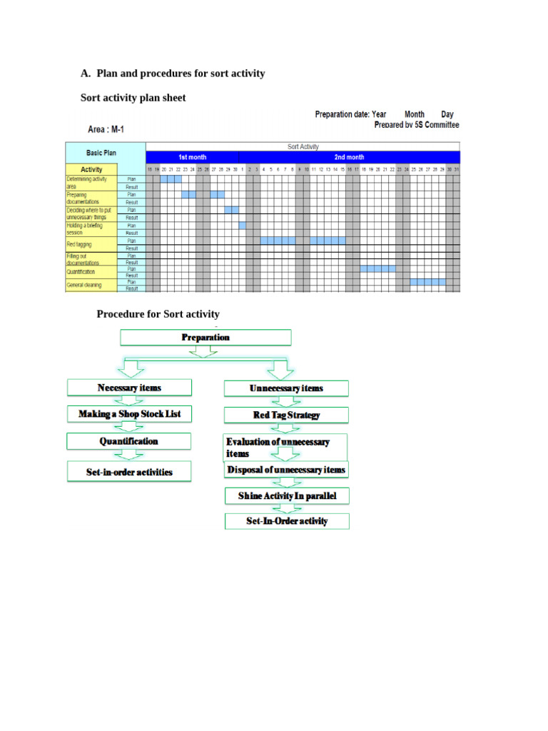 Plan and Procedures For Sort Activity | PDF | Computers