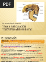 Disco Articular en la ATM: Anatomía y Función | PDF | Articulación ...