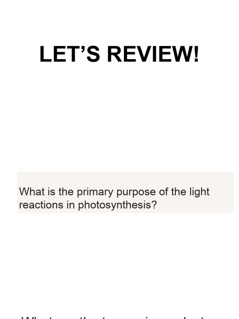 Photosynthesis: Light Reactions & Calvin Cycle | PDF | Metabolism ...