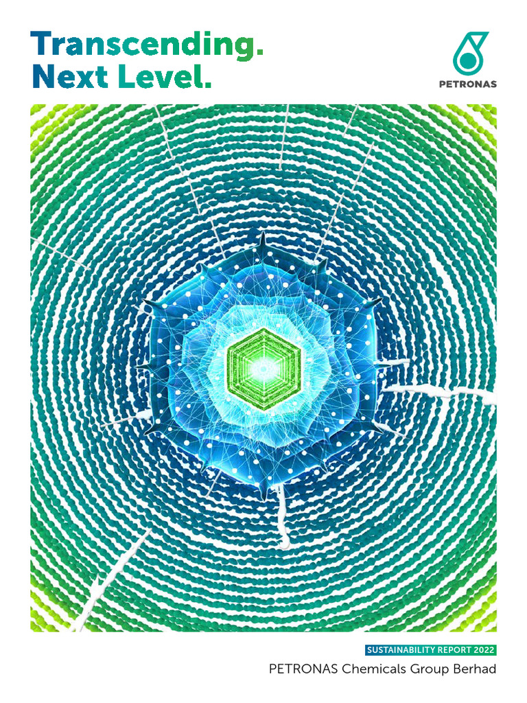 PCG SR22 - Full Draft - Website | PDF | Sustainability | Governance