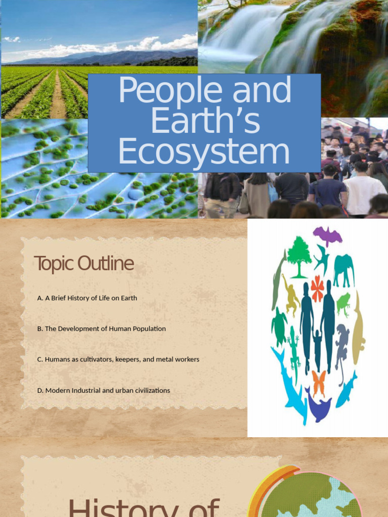 History of Life On Earth | PDF | Geologic Time Scale | Stratigraphy
