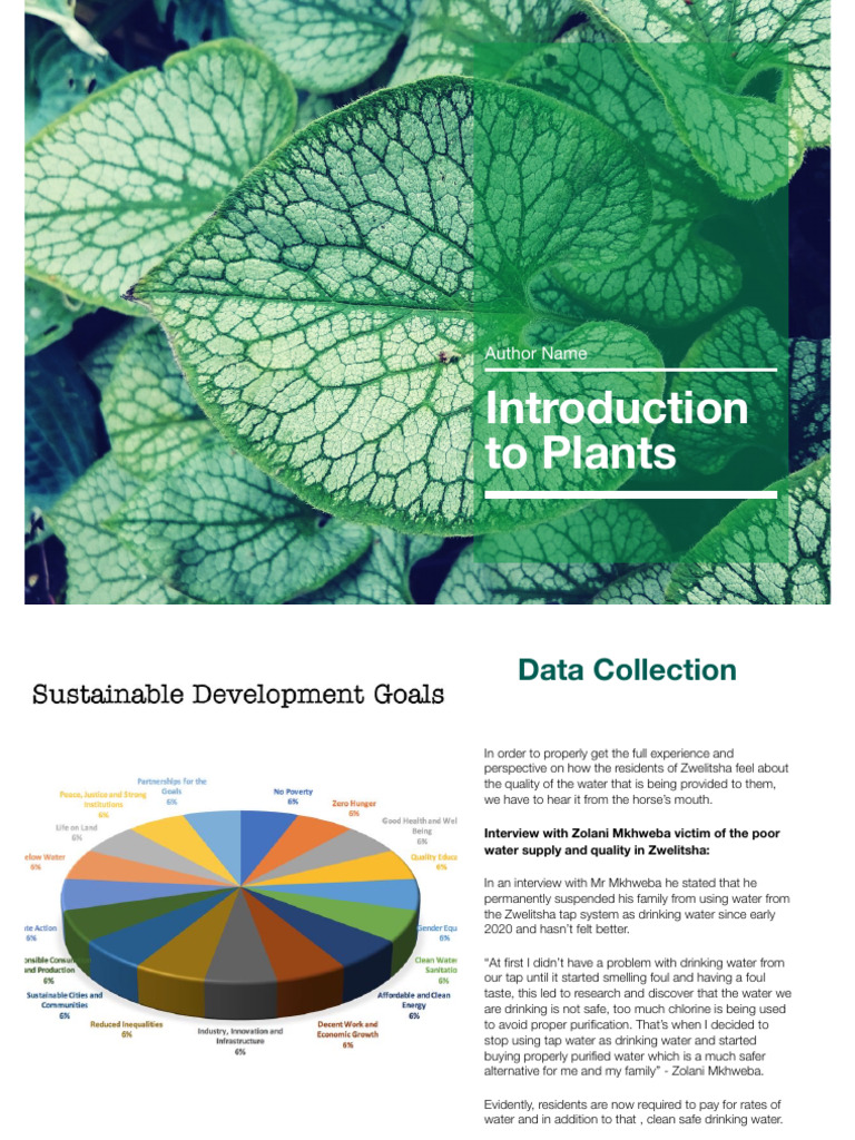 Geography | PDF | Page Layout | Water
