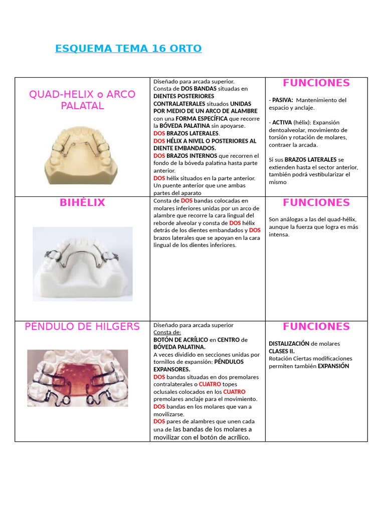 Esquema Tema 16 Orto | PDF