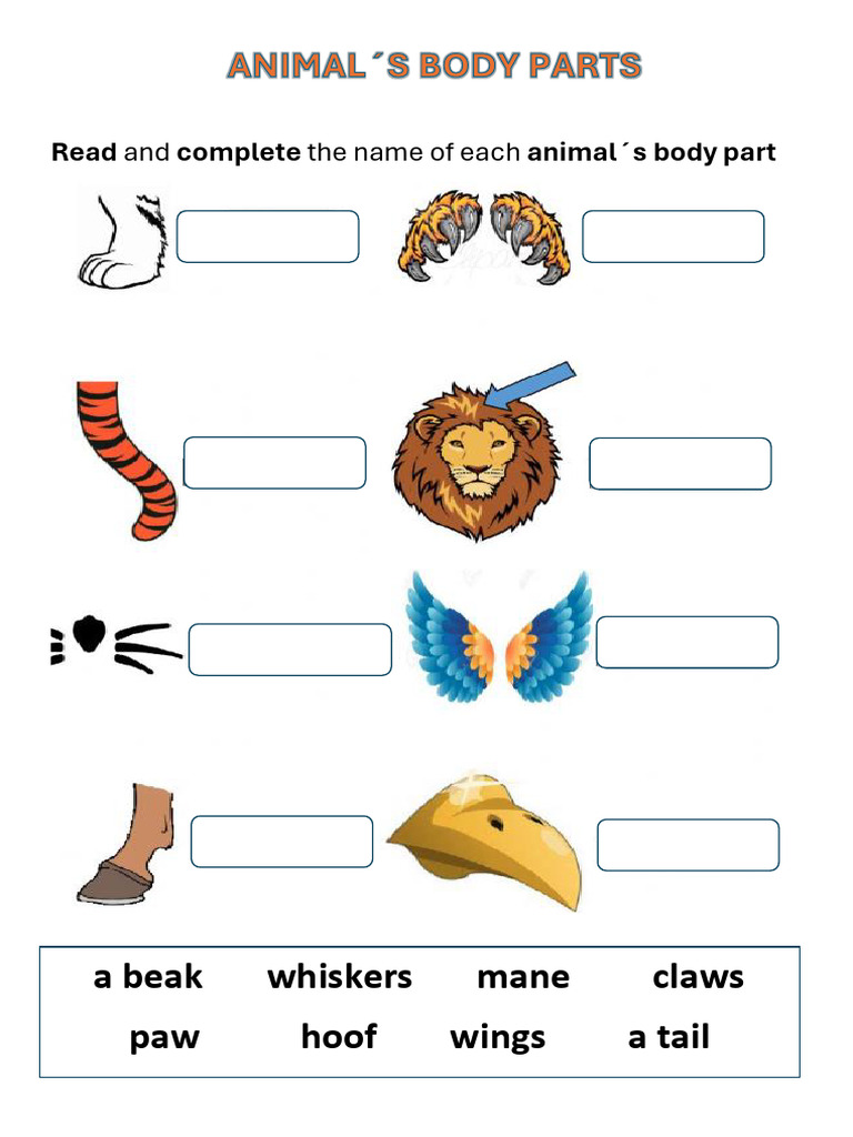 Unit 7 - Writing Worksheet - Animals Body Parts | PDF