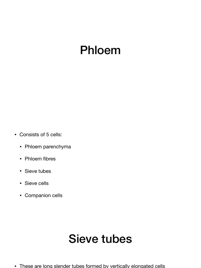 Tissue-class_9 | PDF | Epithelium | Muscle