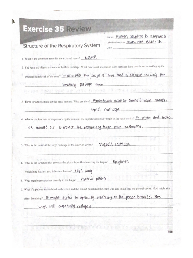 Exercise 35 Review | PDF