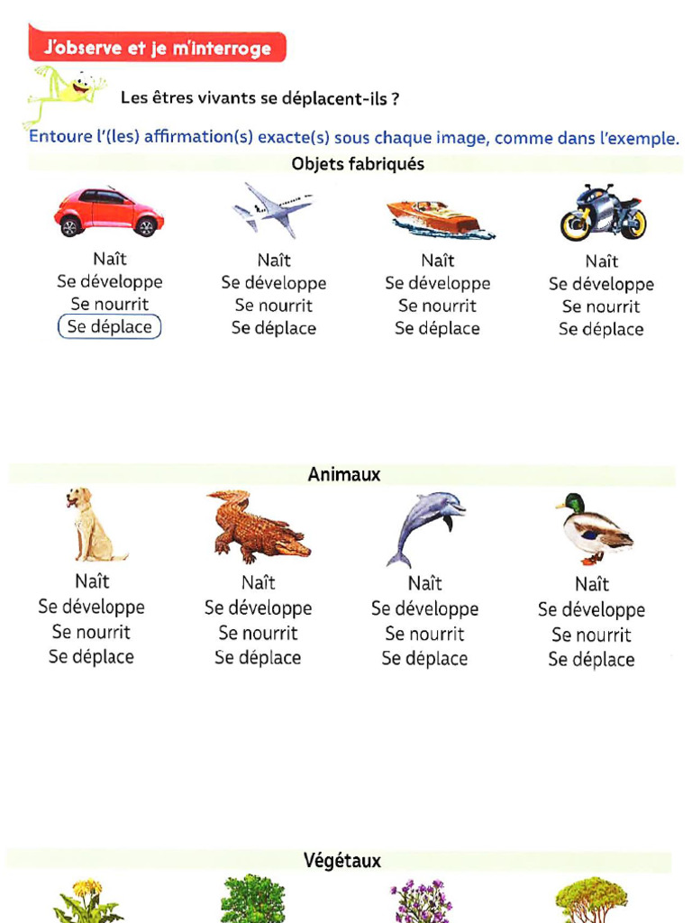 Les Etres Vivants p.17 | PDF