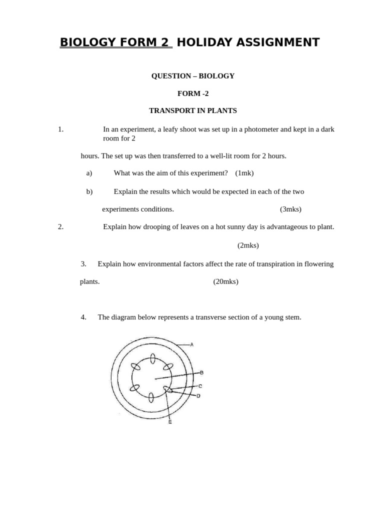 Biology Form 2 Holiday Assignment | PDF | Blood | Cellular Respiration