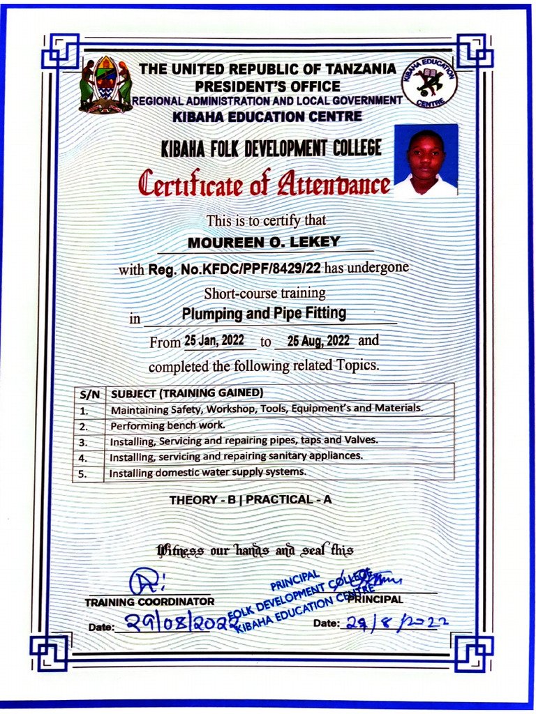 Plumbing Certificate | PDF