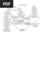 Dampak Cedera Kepala pada Kesehatan Otak | PDF