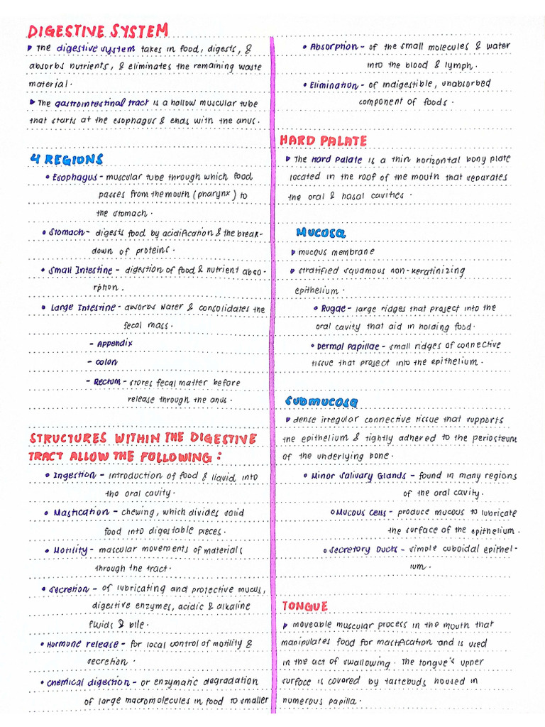 Chynna's Reviewer - Digestive | PDF