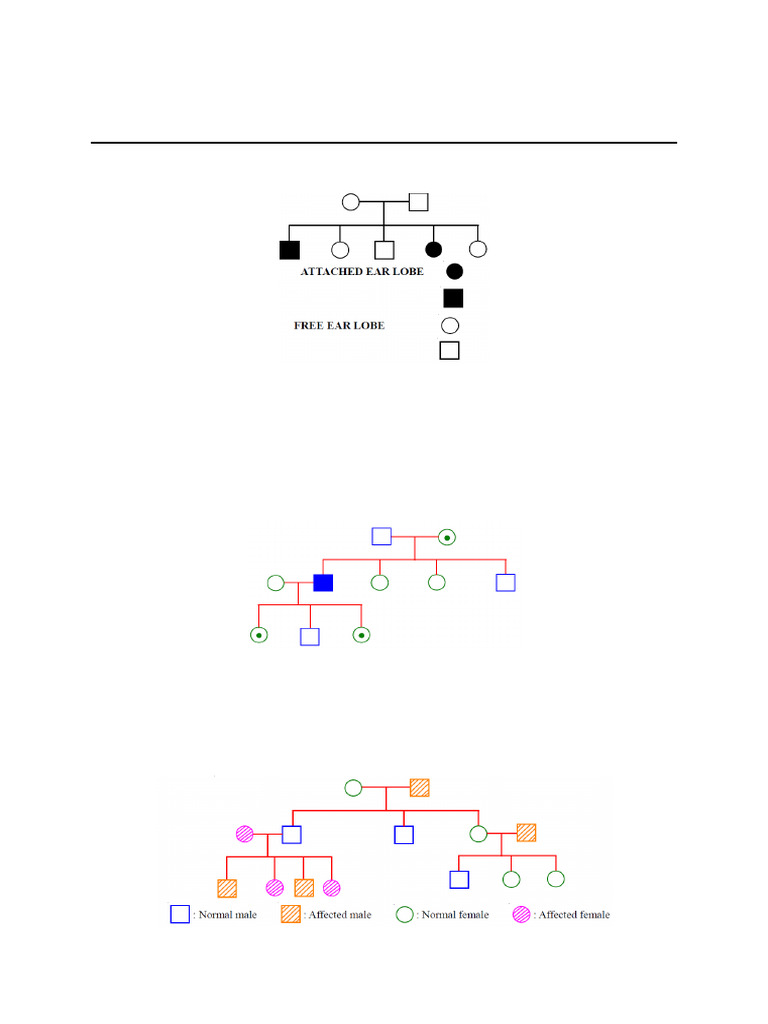 Pedigree Analysis Problems 2 | PDF | Dominance (Genetics) | Zygosity