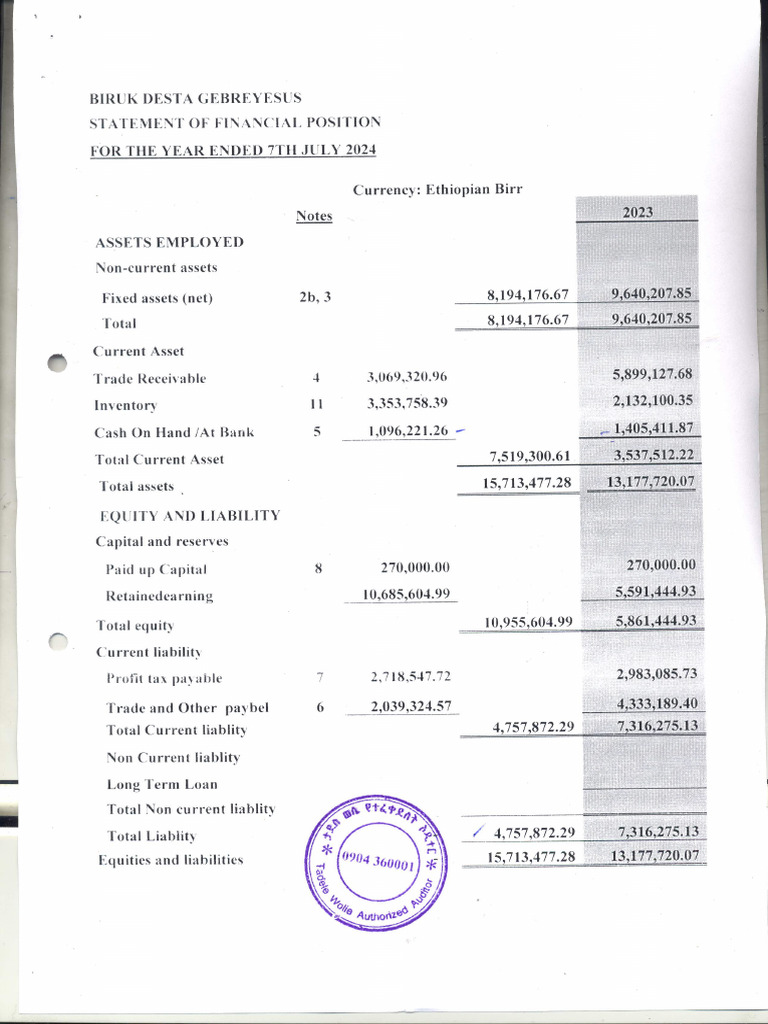 Biruk Financial Statements0001 | PDF