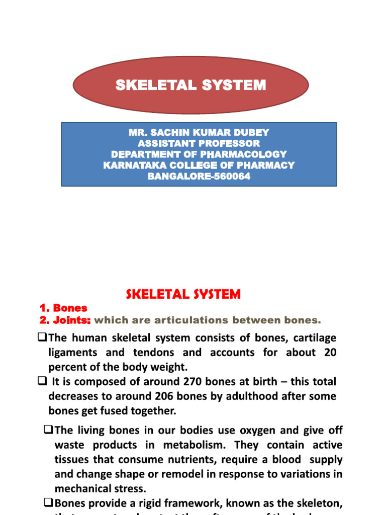 Hap Skeletal Sys | PDF