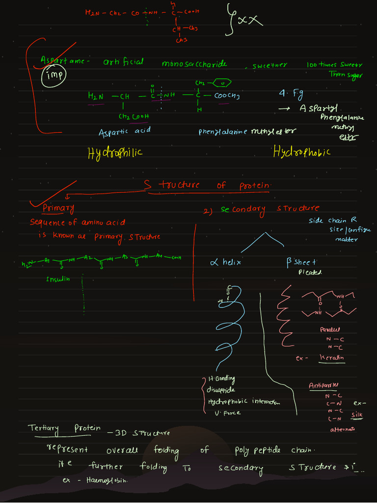 Classification of Amino Acids For Class 12th | PDF