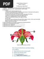 Grade 7 Flower Parts Worksheet | PDF