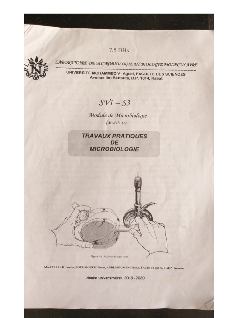 TP Microbiologie | PDF