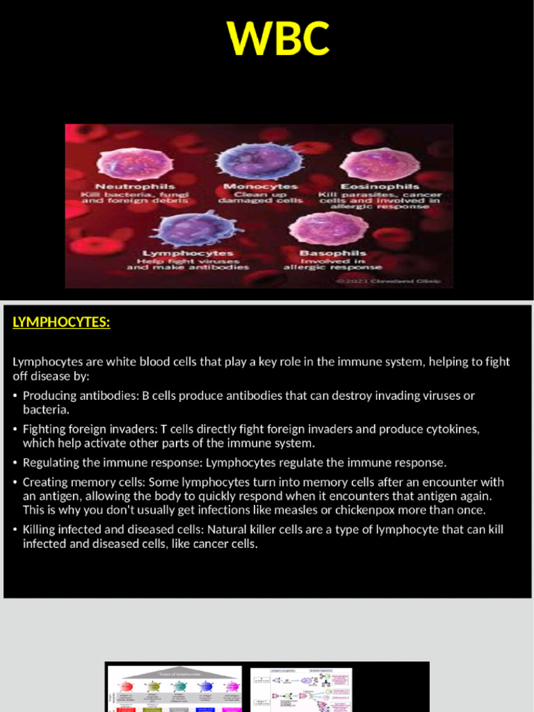 Types of wbc - 2 | PDF