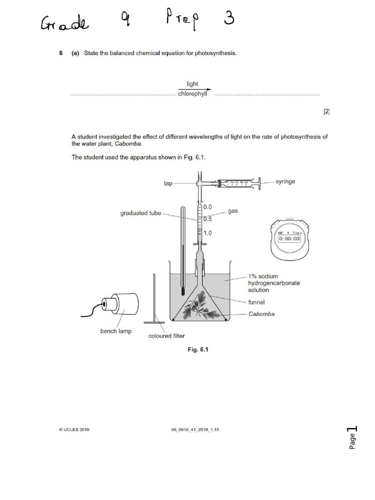 Class 9 Bio Prep 3 | PDF | Games & Activities | Cooking, Food & Wine