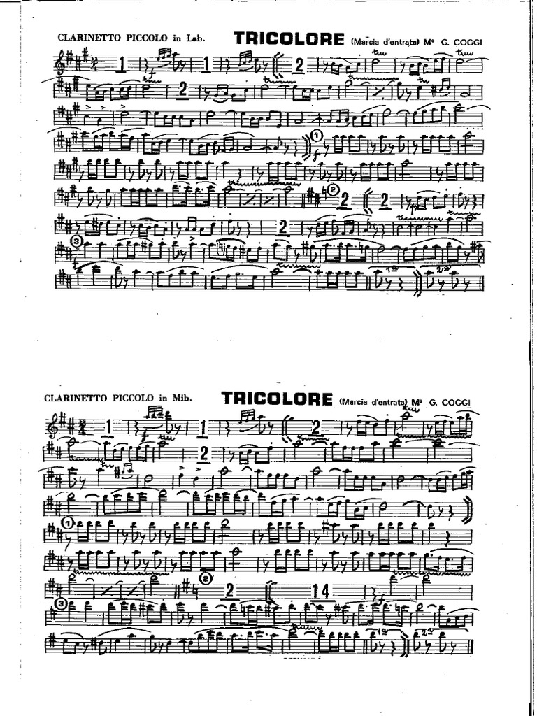 C - Clarinetto Piccolo Lab e CL - Tto Piccolo Mib | PDF