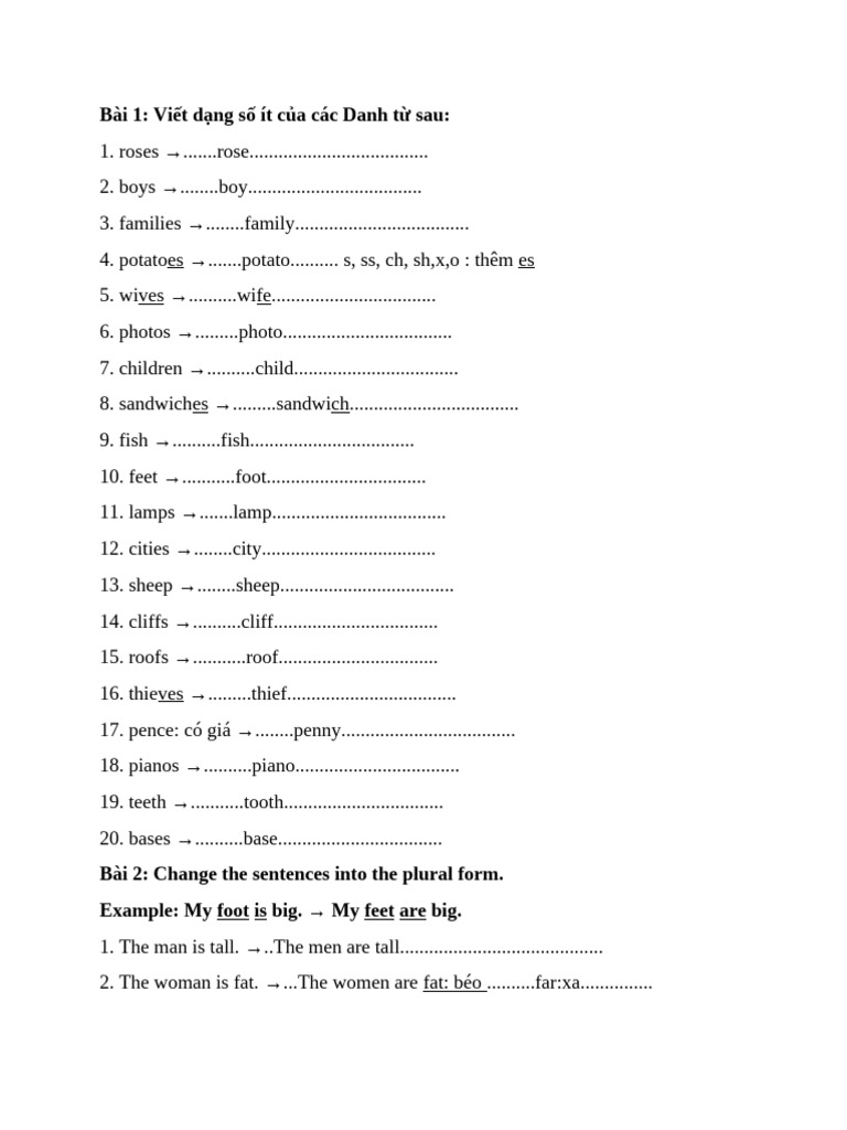 Plural nouns-worksheet | PDF | Linguistic Morphology | Syntax