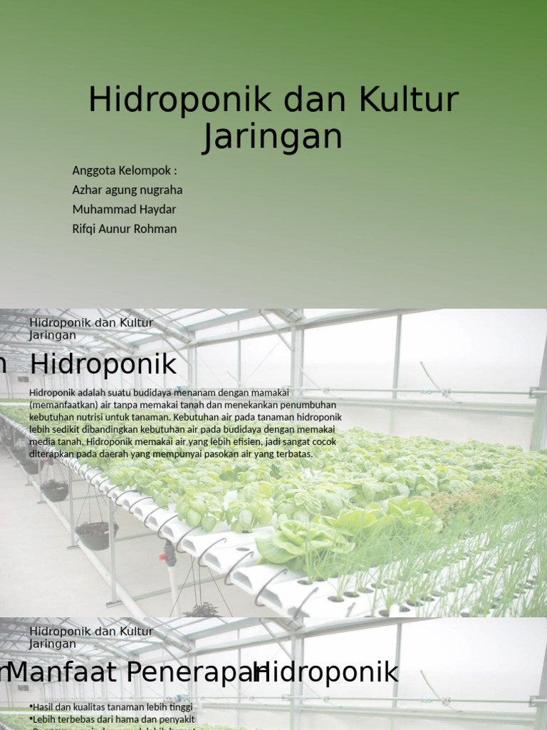 Hidroponik Dan Kultur Jaringan Kelas 9 SMP | PDF