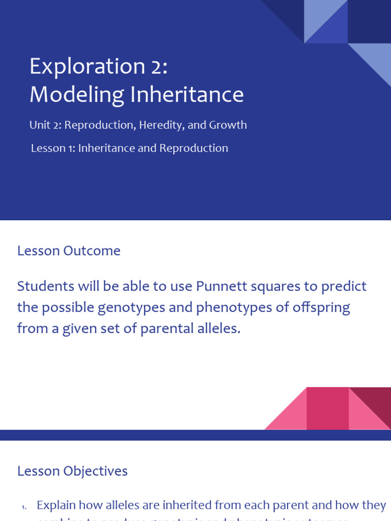 Exploration 2 Modeling Inheritance | PDF | Genotype | Dominance (Genetics)