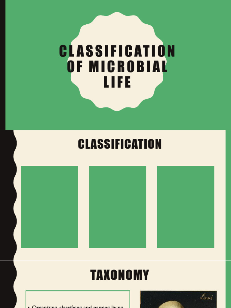 Microbial Classification Overview | PDF | Bacteria | Taxonomy (Biology)