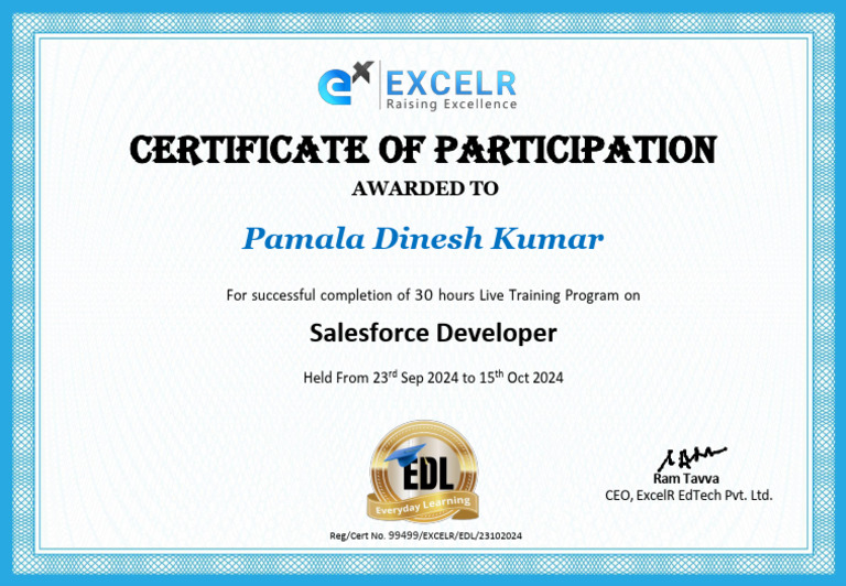 EXCELR 99499 Pamala Dinesh Kumar | PDF | Technology & Engineering