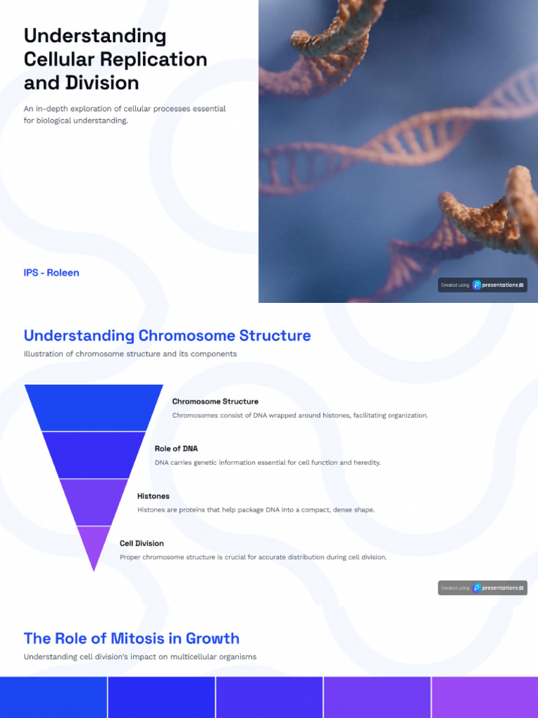 A Level CIE Biology Replication and Division of Nuclei and Cells | PDF
